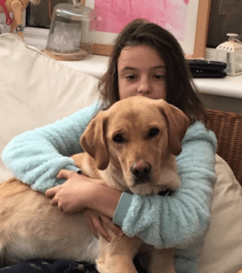 What We Do: Training Assistance Dogs | Helpful Hounds