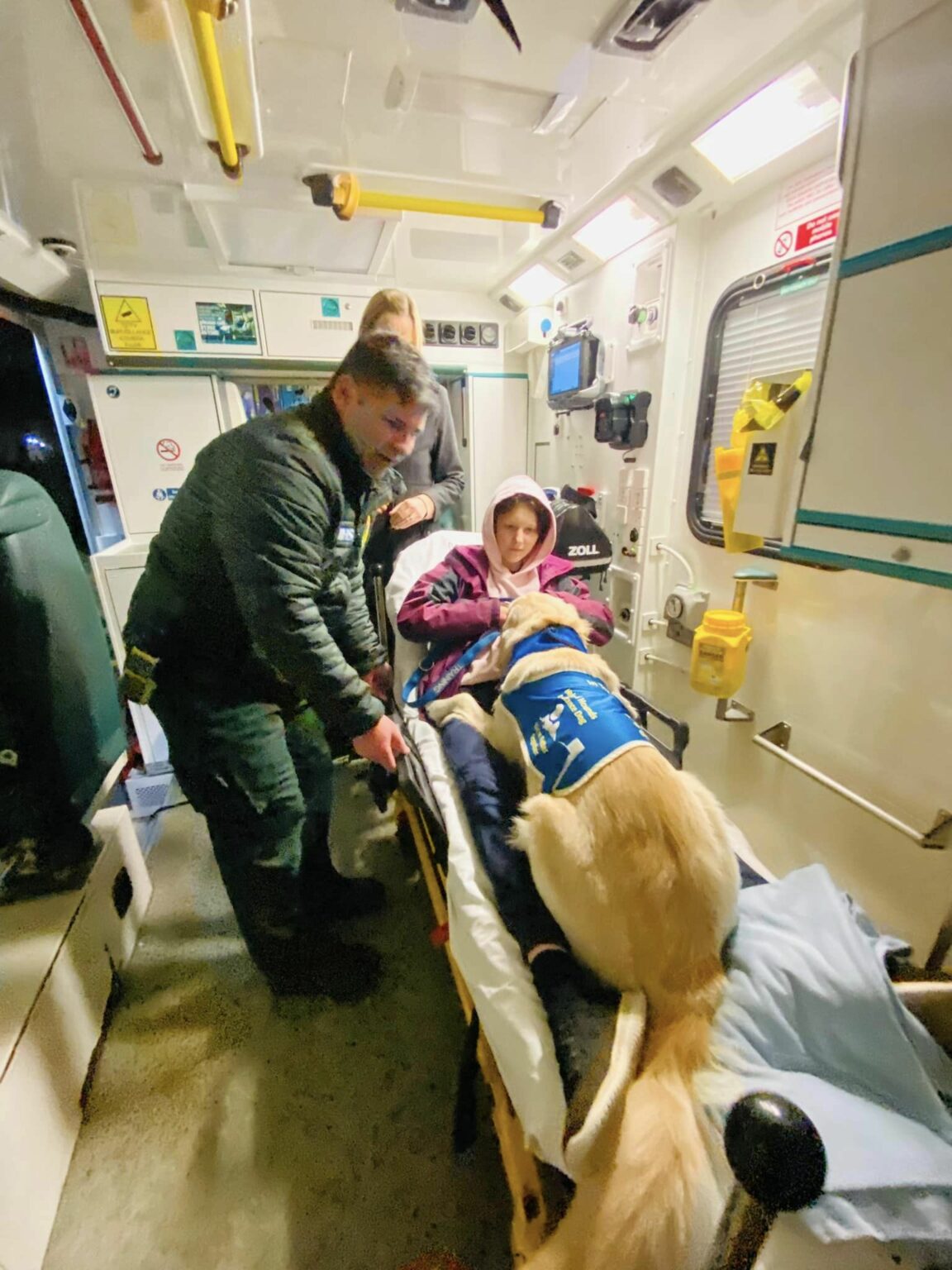 How To Get Involved With Helpful Hounds Assistance Dogs