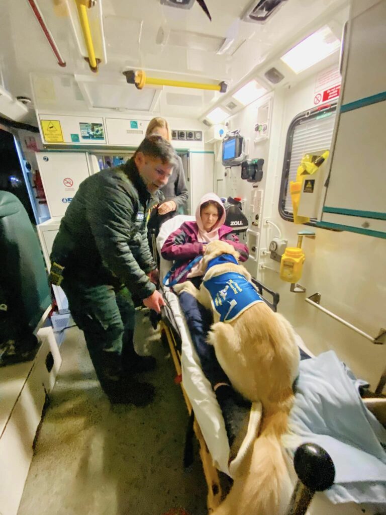 How To Get Involved With Helpful Hounds Assistance Dogs