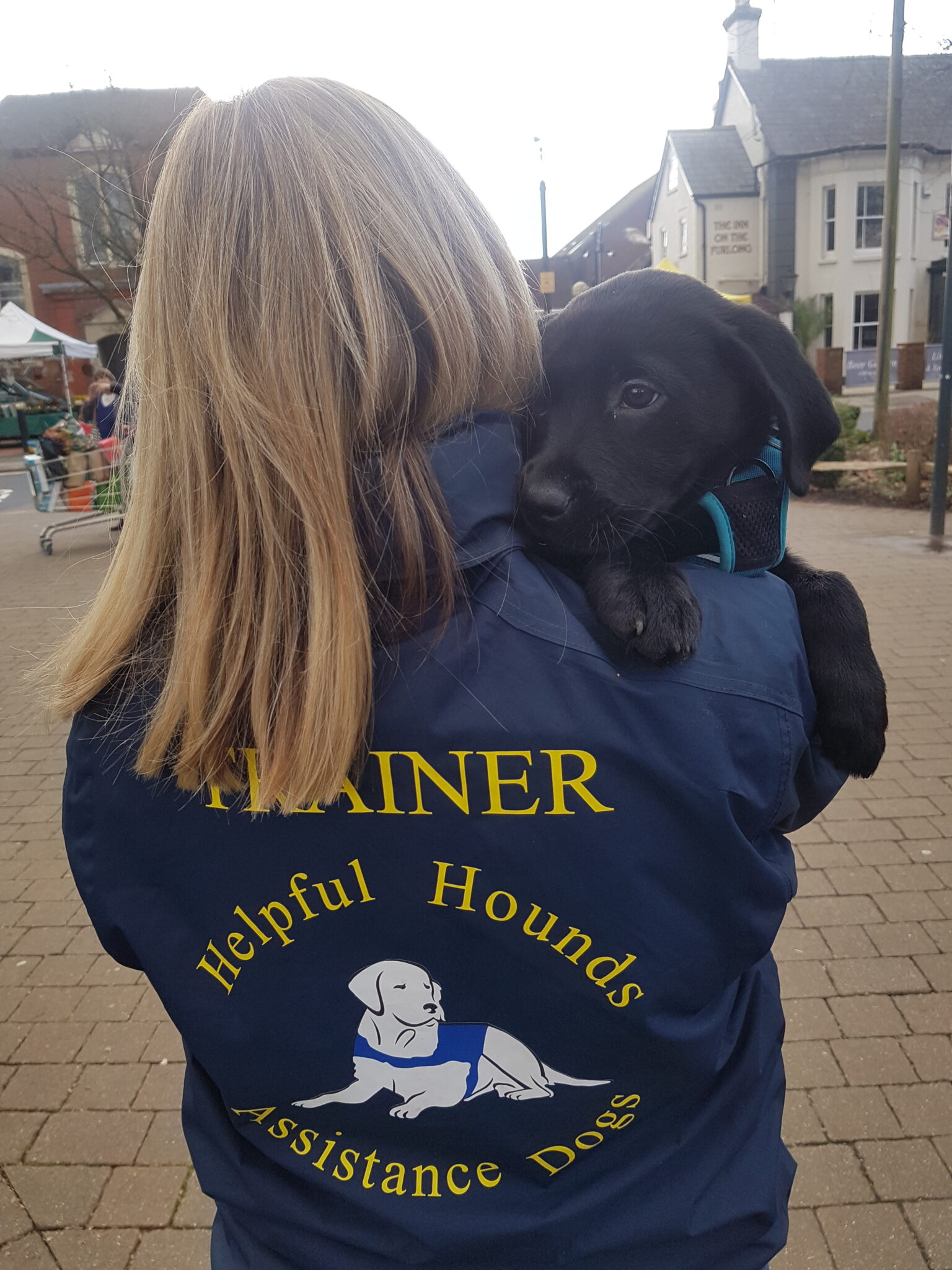 Working With Trusts And Foundations | Helpful Hounds