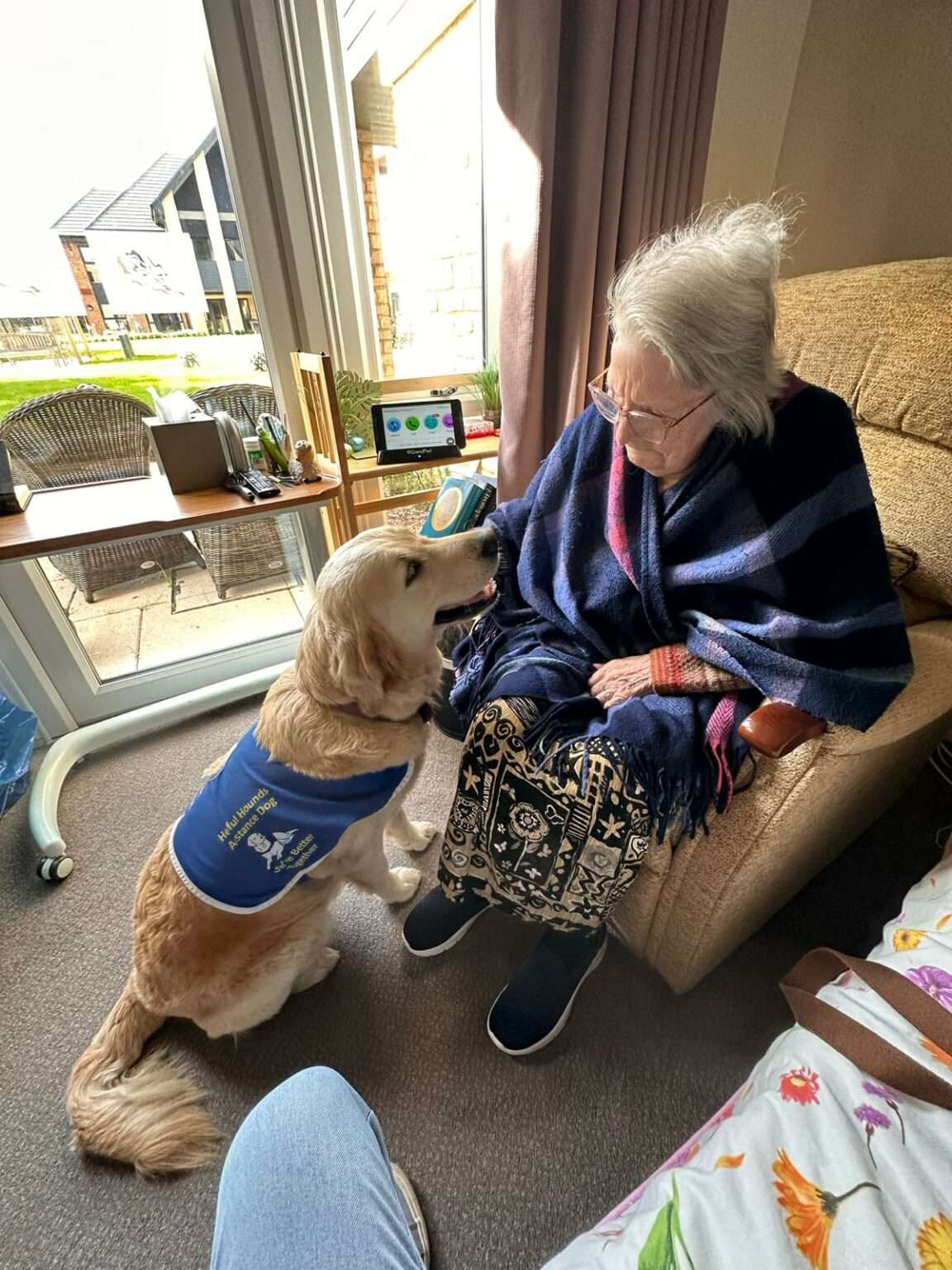 Community Dogs - Helpful Hounds Assistance Dogs