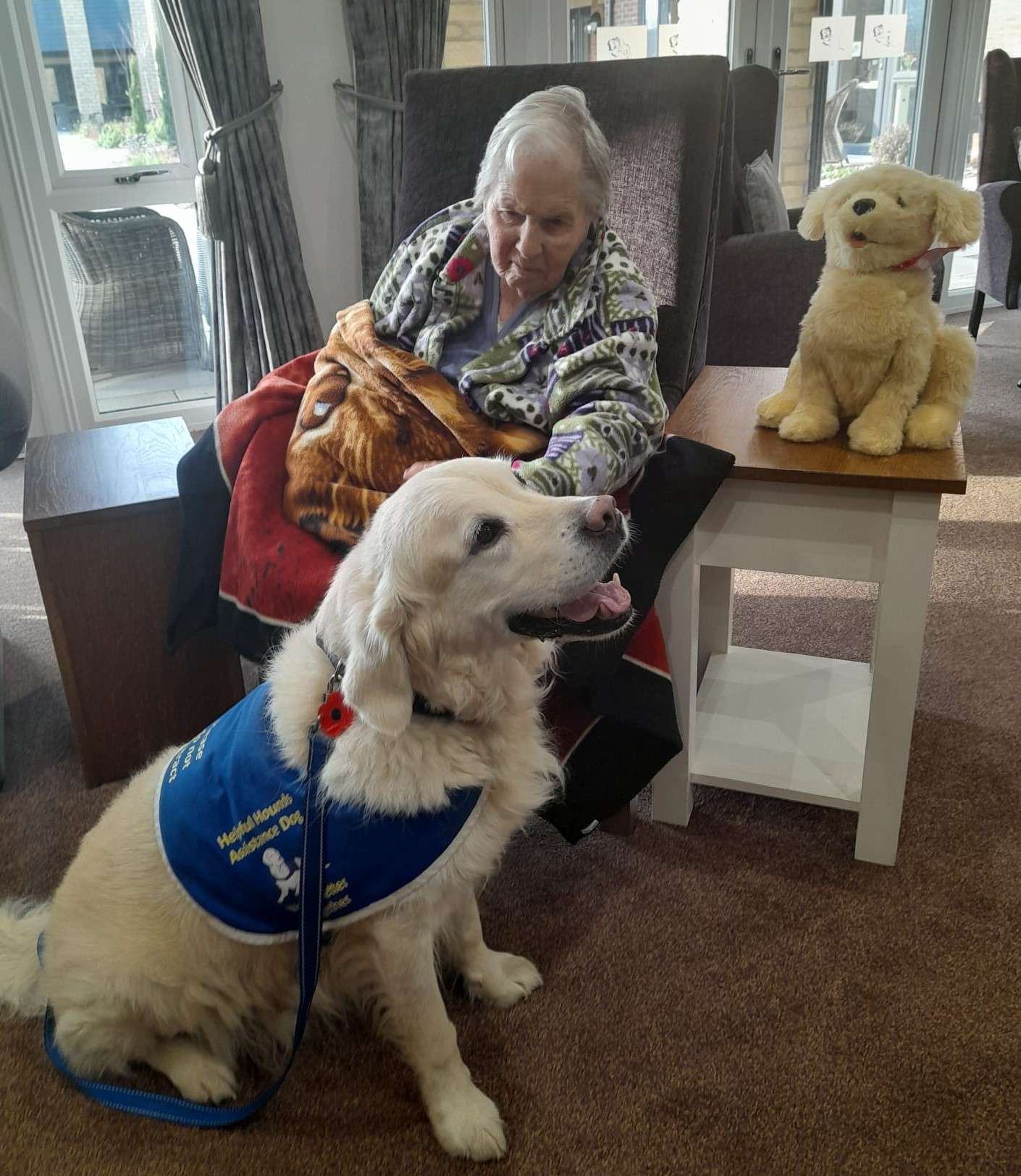 Community Dogs - Helpful Hounds Assistance Dogs