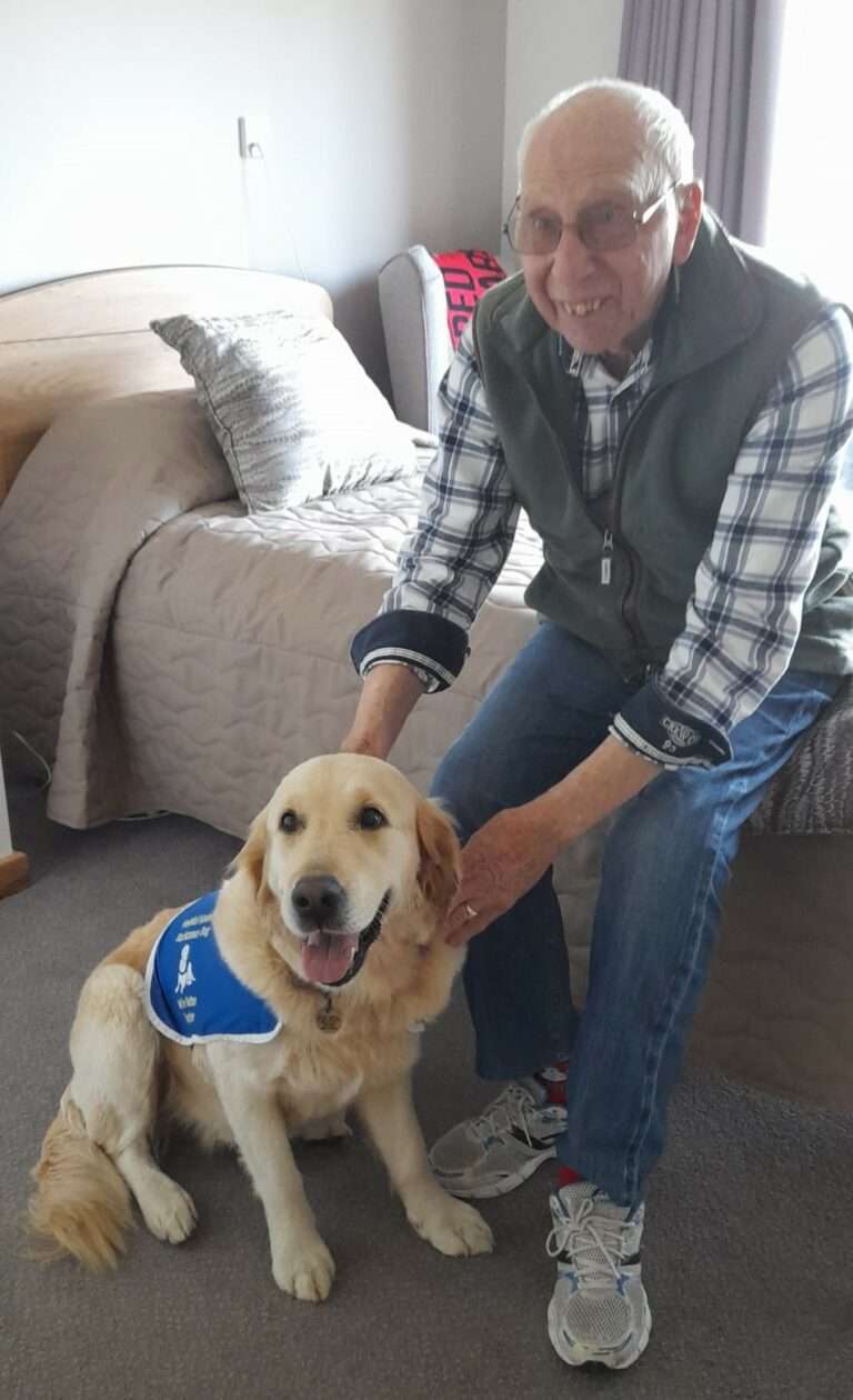 Community Dogs - Helpful Hounds Assistance Dogs