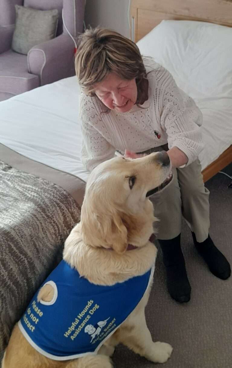 Community Dogs - Helpful Hounds Assistance Dogs