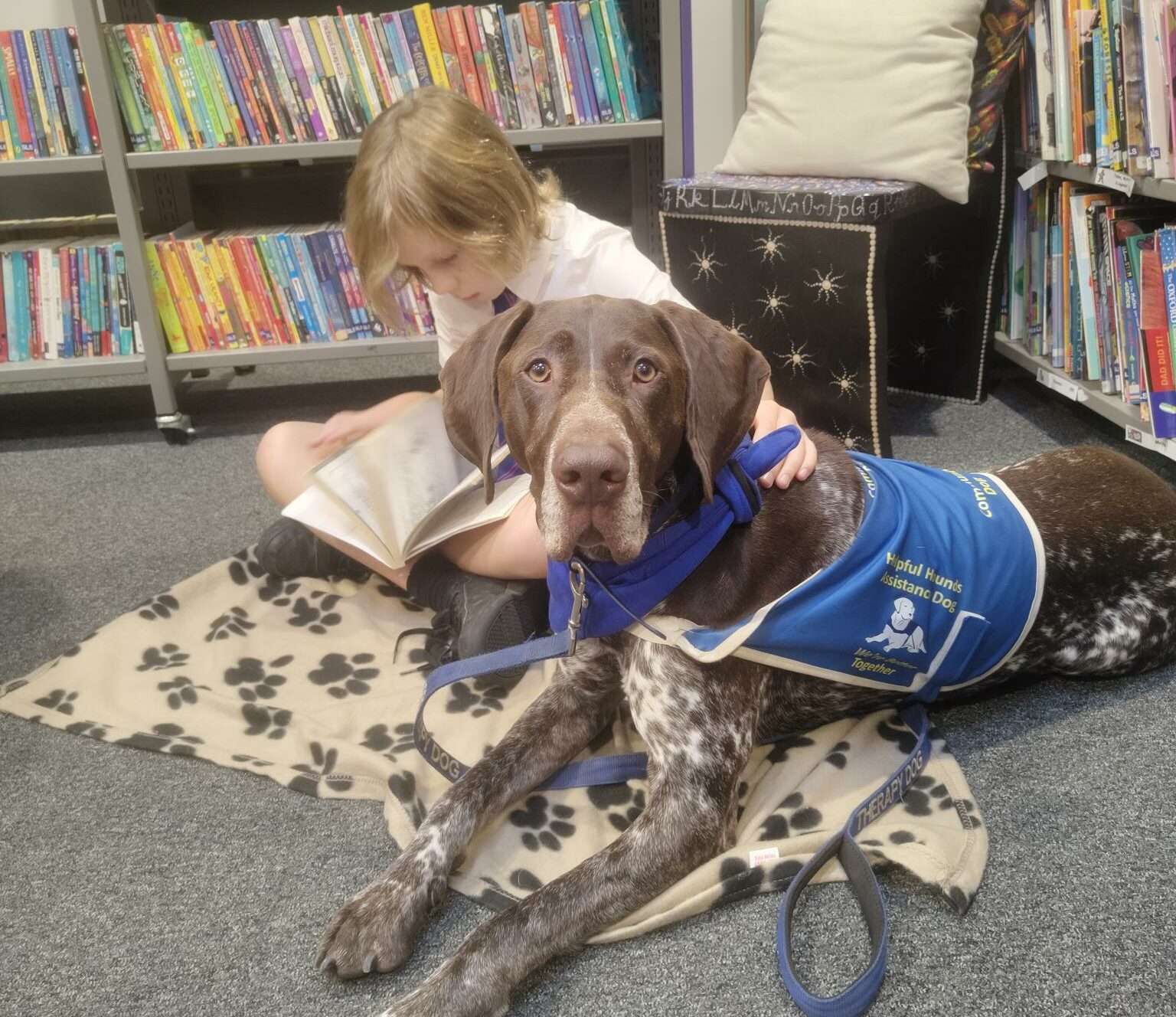 Changing Lives, One Paw At A Time - Helpful Hounds Assistance Dogs